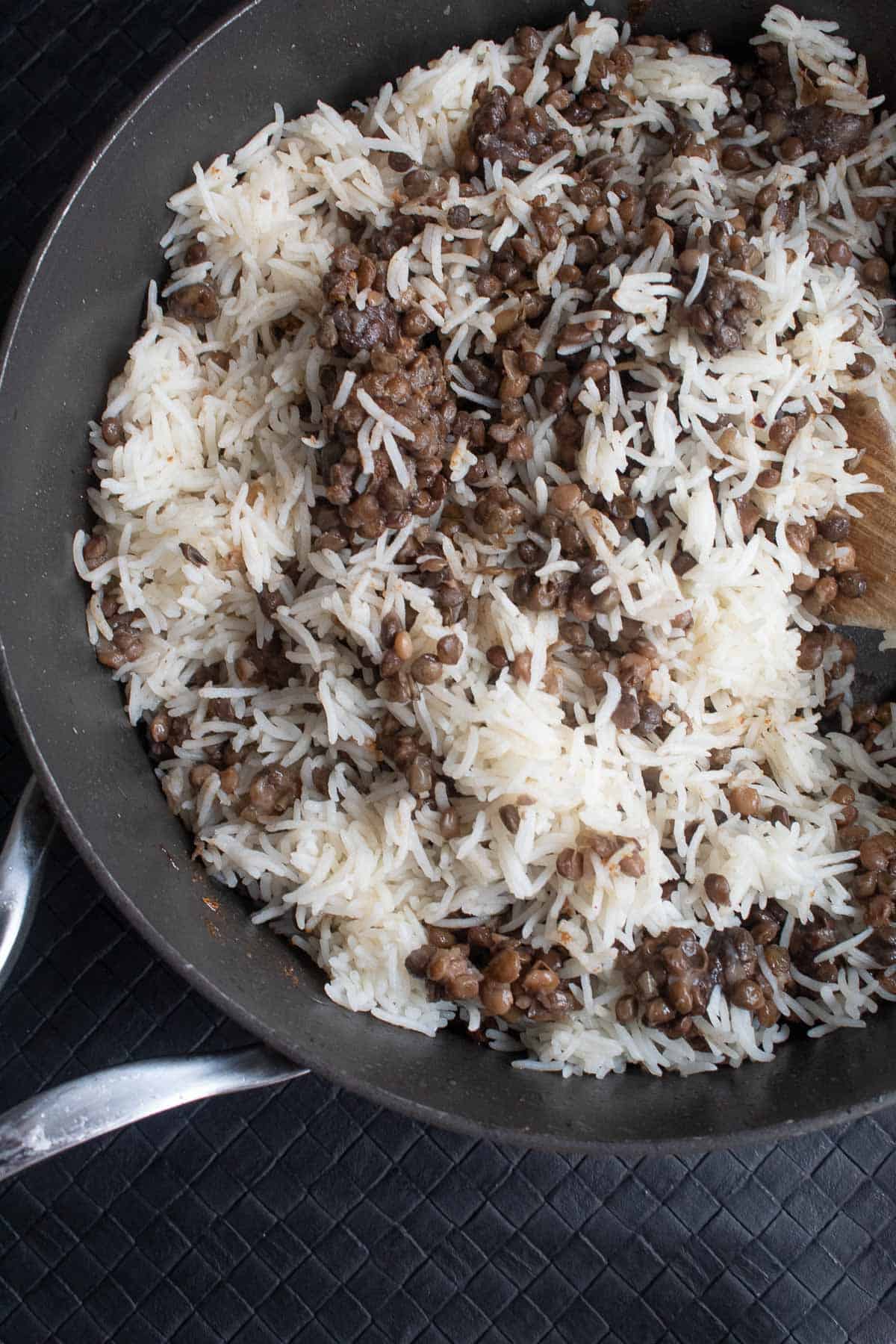 Shortcut Mujadara with Instant Pot Rice and Precooked Lentils | Plan ...