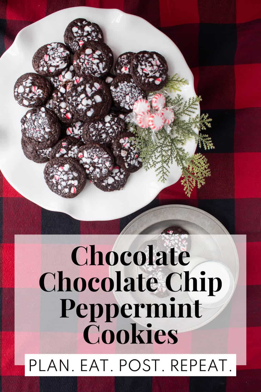 Chocolate Chocolate Chip Peppermint Cookies | Plan. Eat. Post. Repeat.
